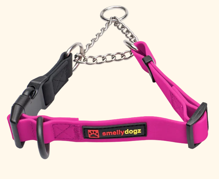 Martingale Collar – Higgie's Pet